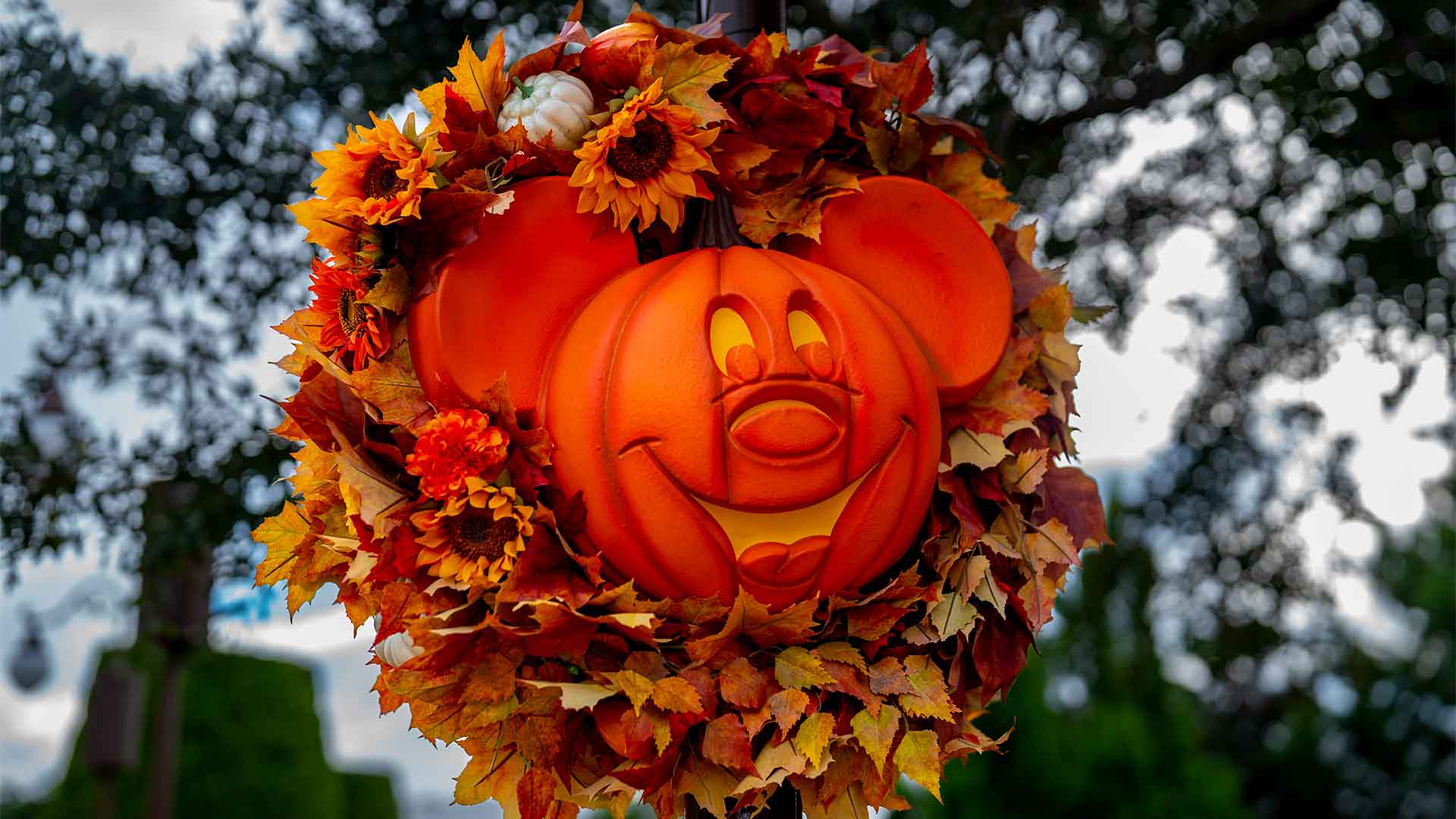 Happy Hallo-Holidays! – The MouseWatcher Blog
